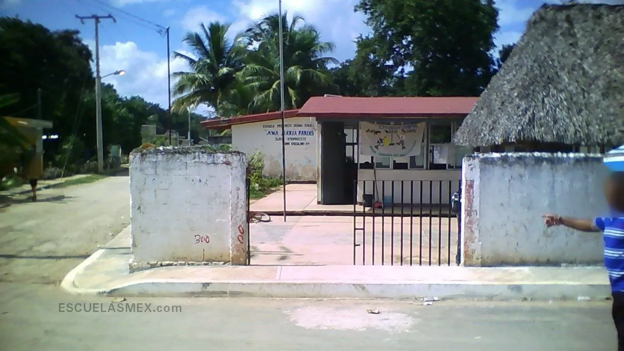 Ana Maria Farias CCT 04DPR0127Z - Primaria