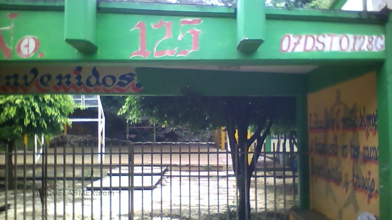 Escuela Secundaria Tecnica 125 CCT 07DST0128G