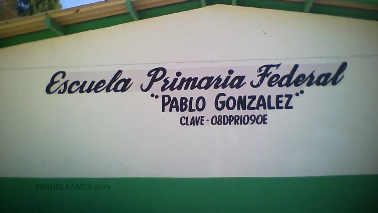 Pablo Gonzalez CCT 08DPR1090E - Primaria
