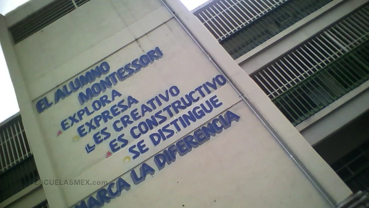 Instituto Montessori Anahuac Logo