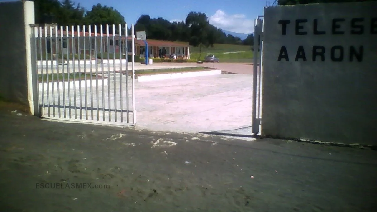 Aaron Merino Fernandez CCT 21ETV0330Z - Telesecundaria