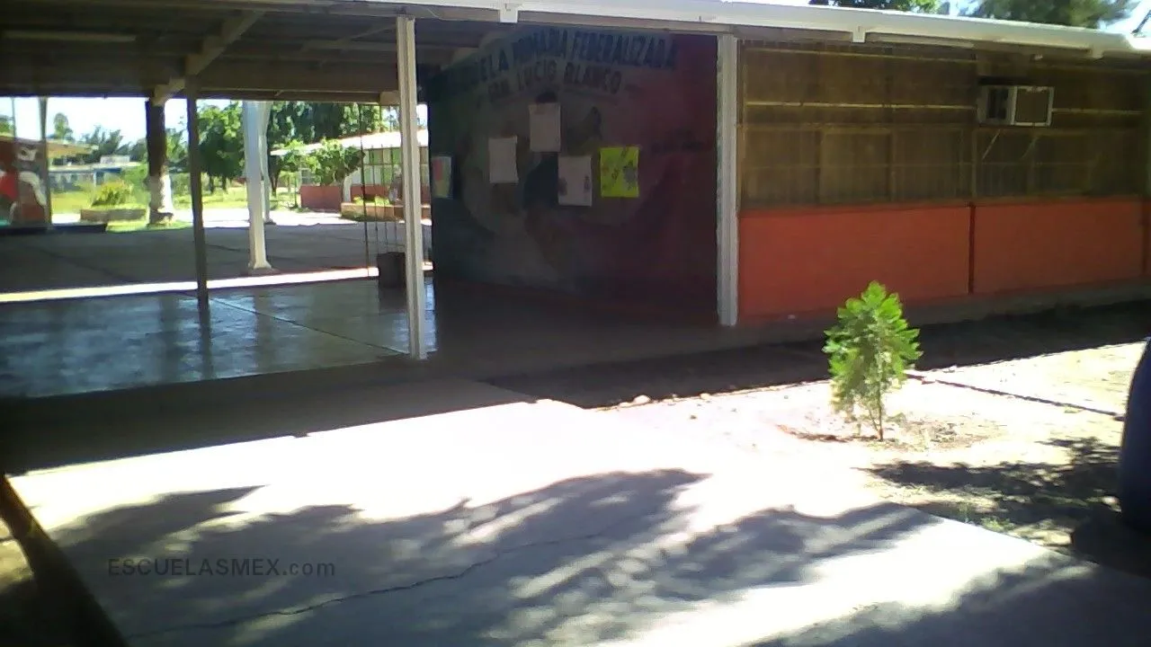 General Lucio Blanco CCT 26DPR0986S - Primaria