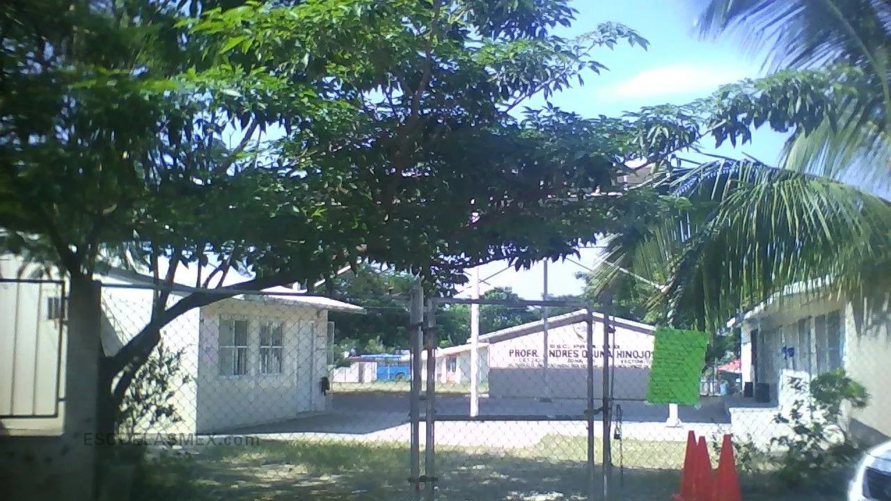 Prof. Andres Osuna Hinojosa CCT 28DPR2435B